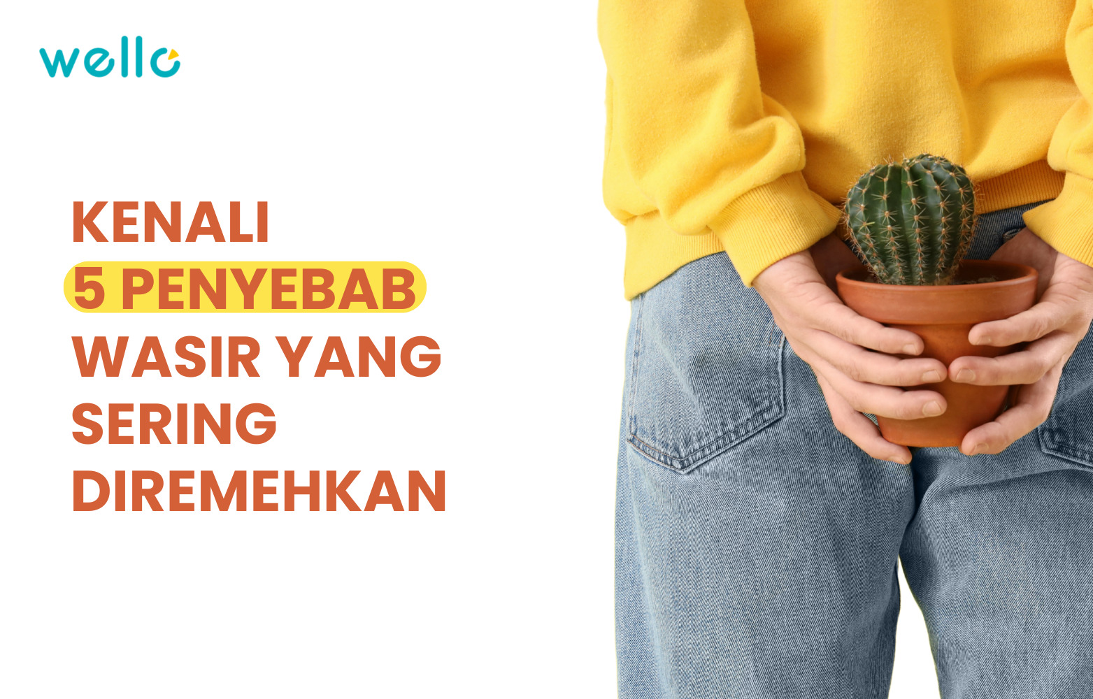 Kenali 5 Penyebab Wasir yang Sering Diremehkan - ST Indonesia
